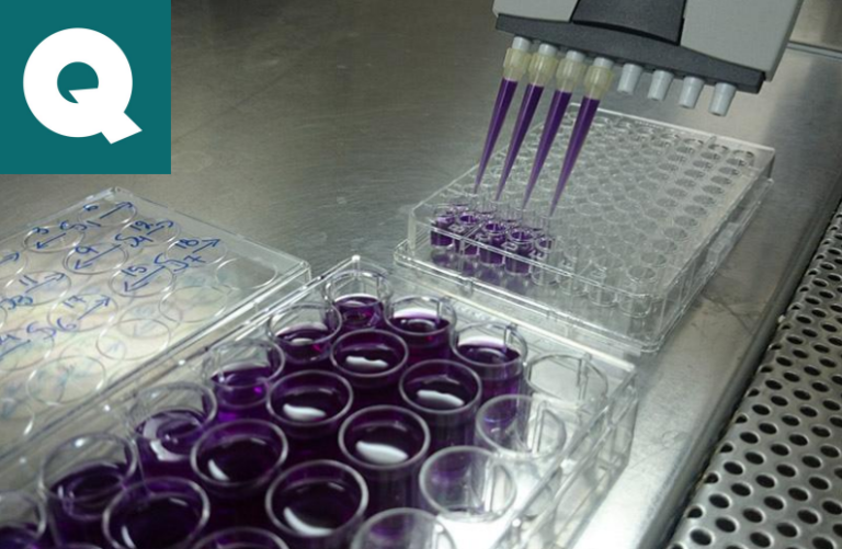 QACS Lab | In Vitro Testing services