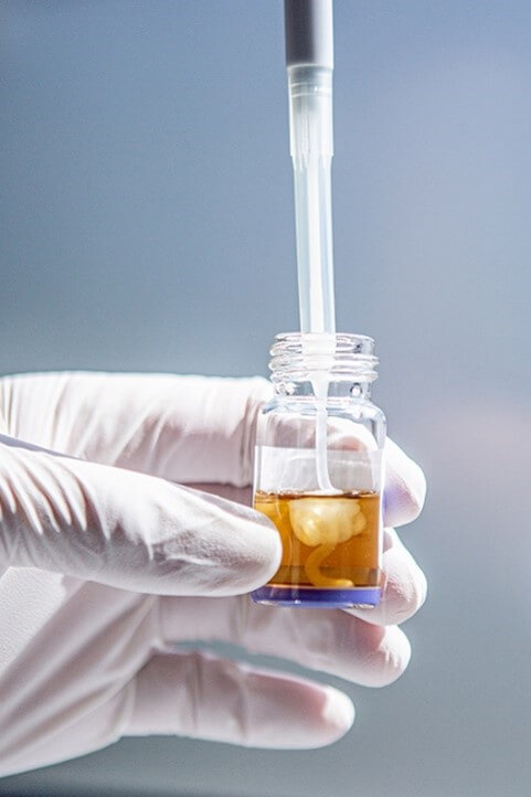 Rapid Microbiology Testing | QACS Lab